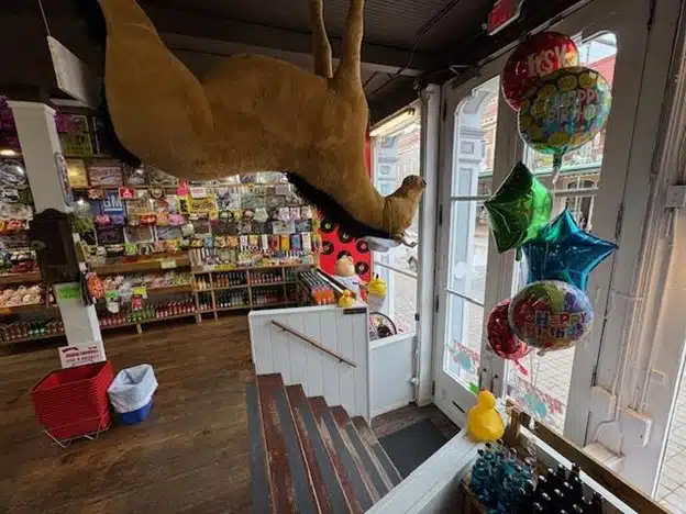 Rocket Fizz Sets Sail in Galveston, Texas—Bringing Fizzy Fun to the ...